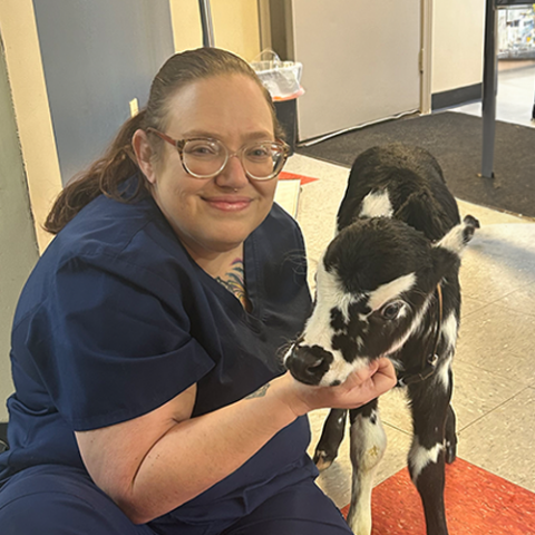 Best Veterinary Hospital In Horse Cave, KY | Pike Veterinary Services